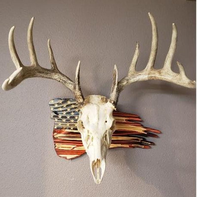 European Mount - Etsy