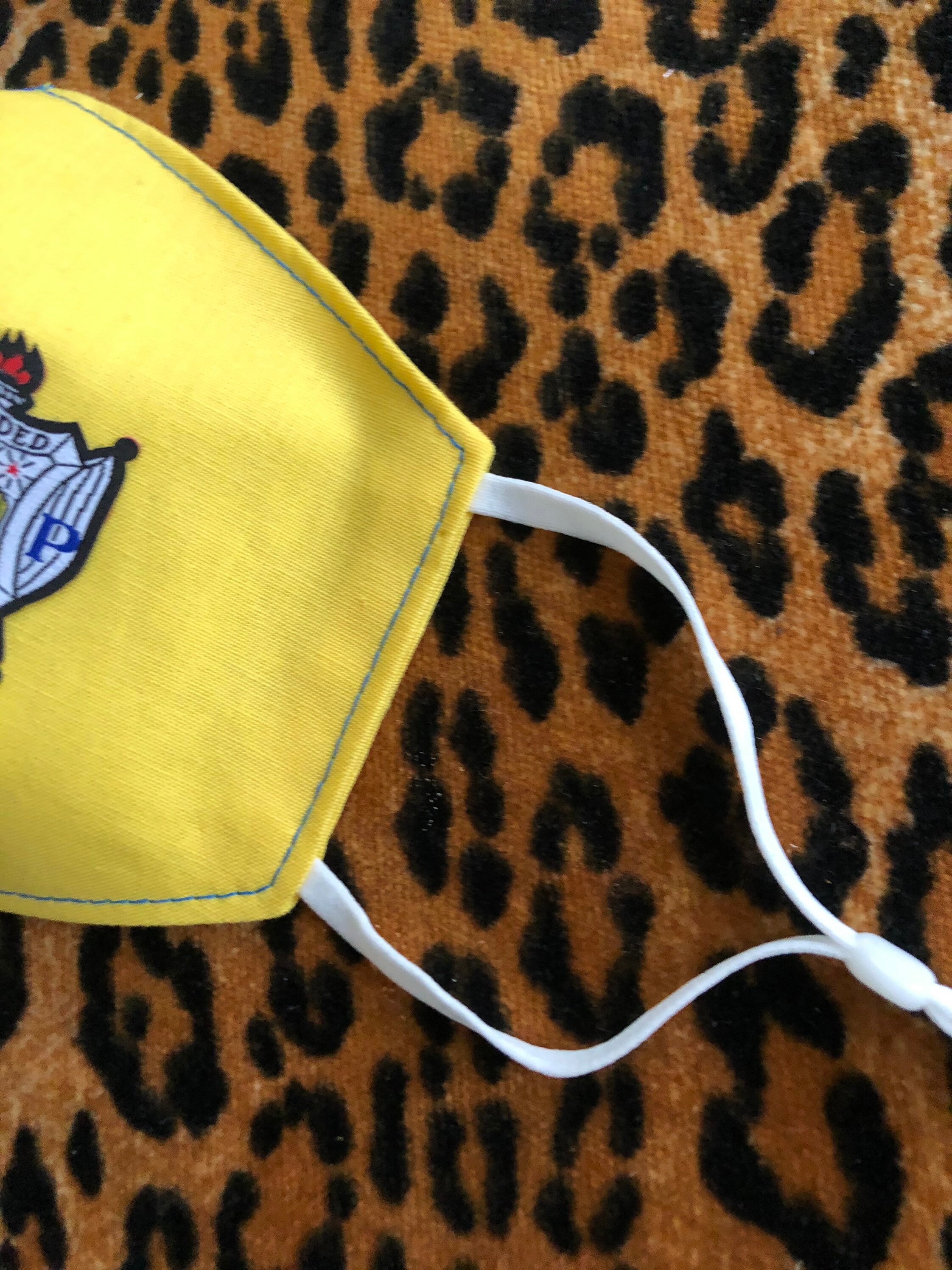 Handcrafted Sigma Gamma Rho Split Face Mask New | Etsy