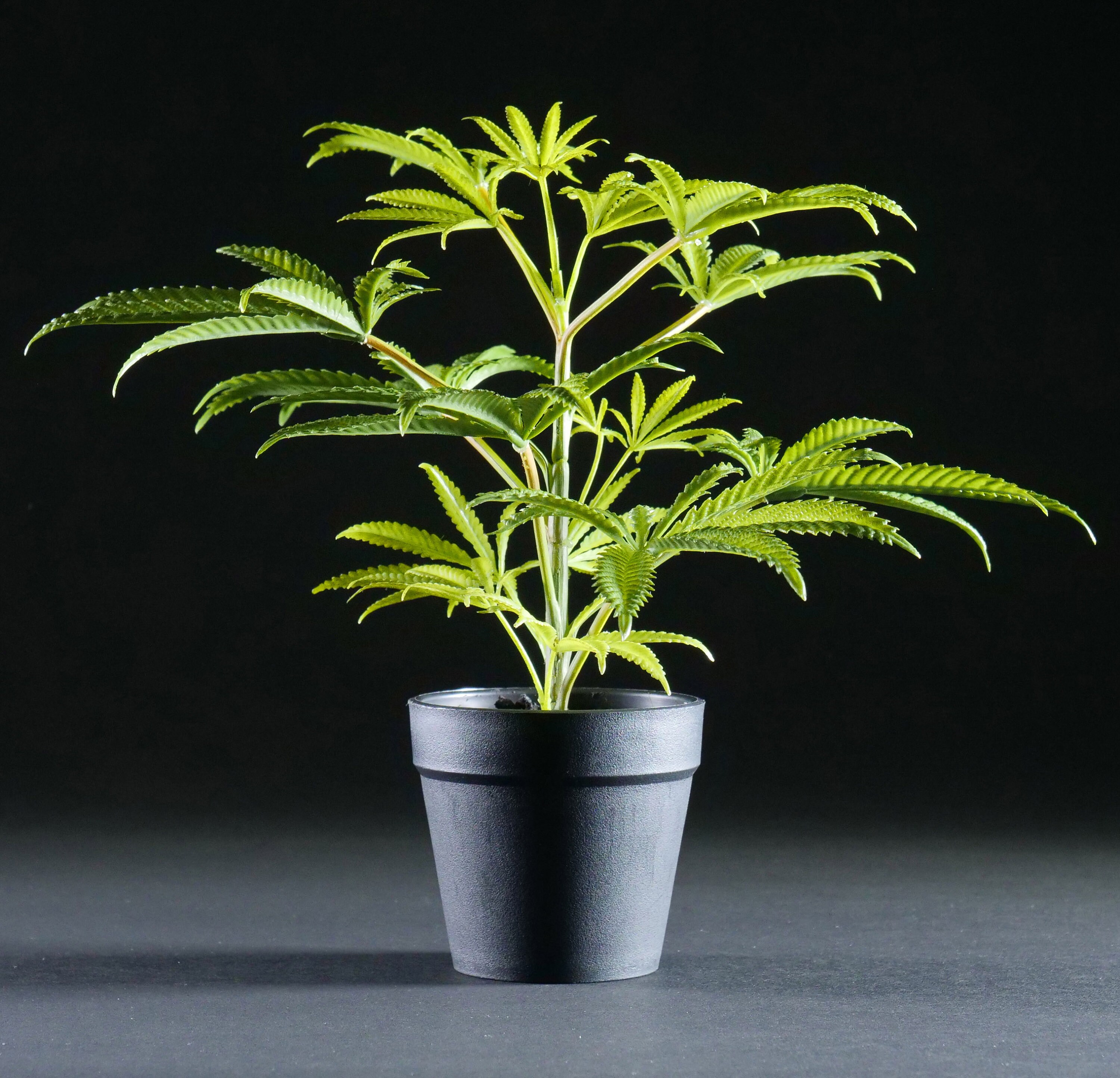 Sugacute 25cm/10inch Artificial Marijuana Faux Cannabis Hemp Replica ...