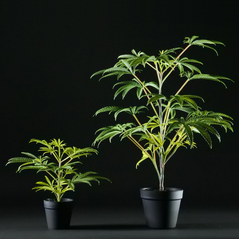 Sugacute 25cm/10inch Artificial Marijuana Faux Cannabis Hemp Replica ...