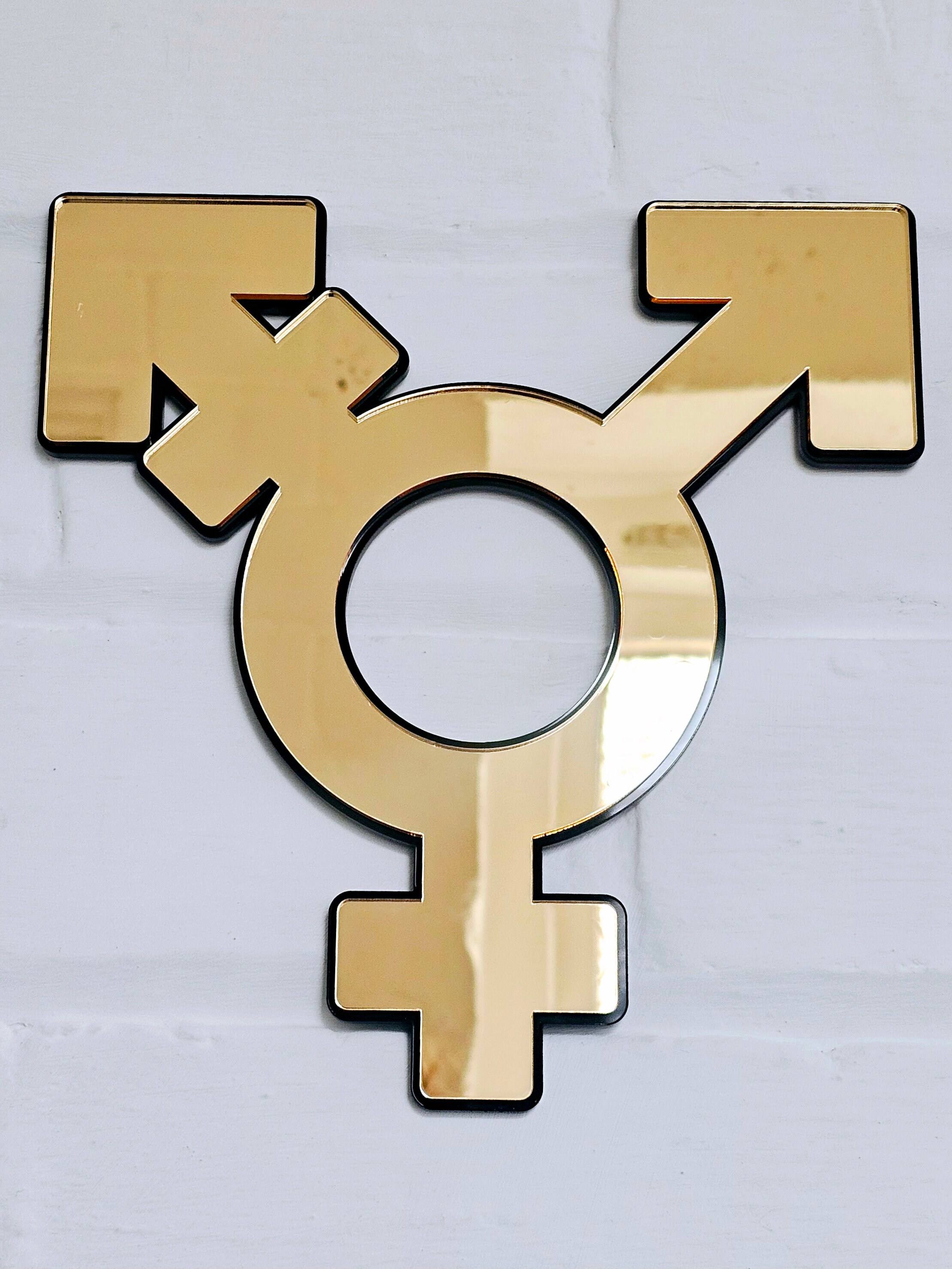 Female Male Transgender Sex Symbol Mirror Man Woman Trans LGBTQ Wall ...