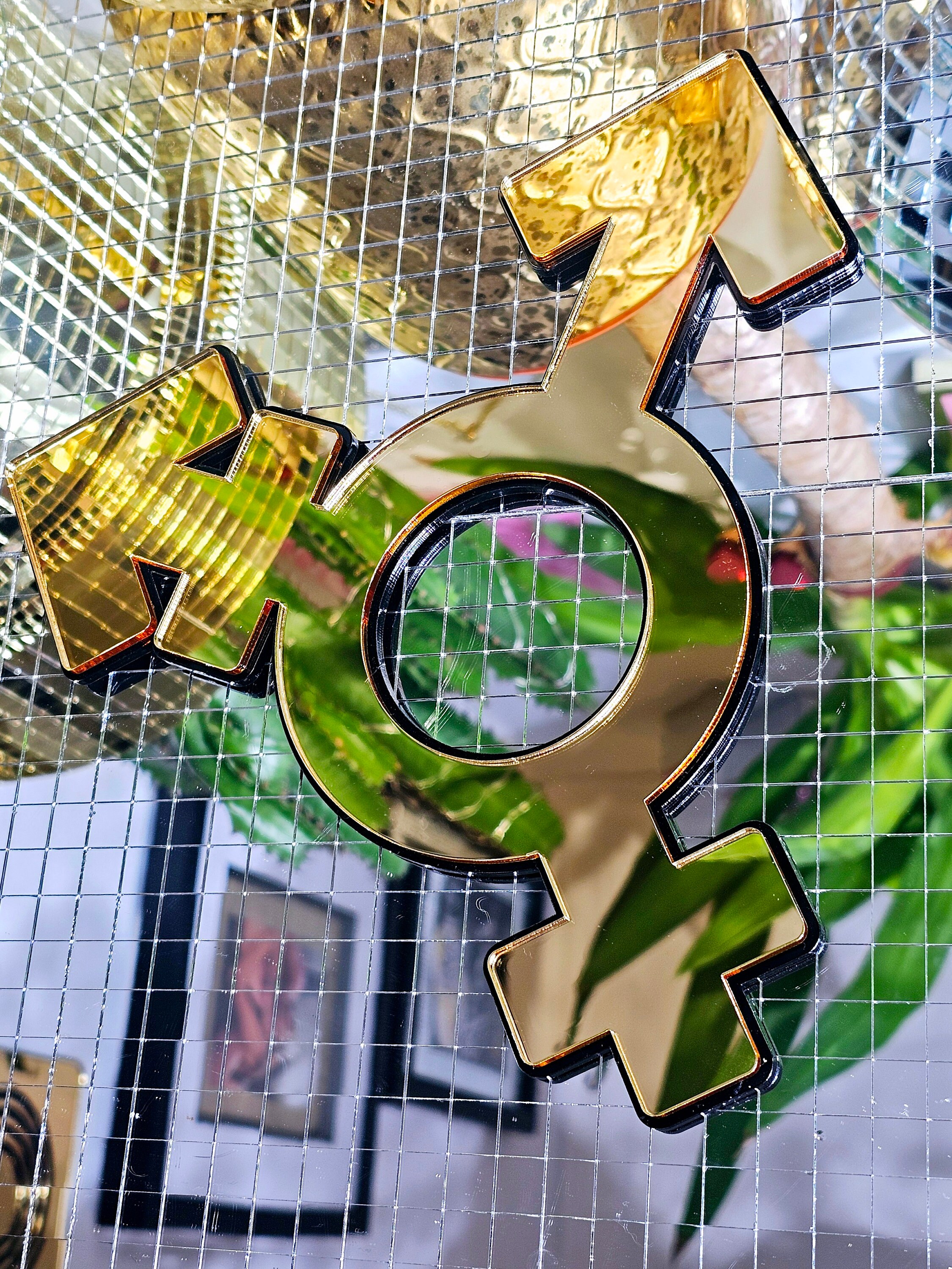 Female Male Transgender Sex Symbol Mirror Man Woman Trans LGBTQ Wall ...