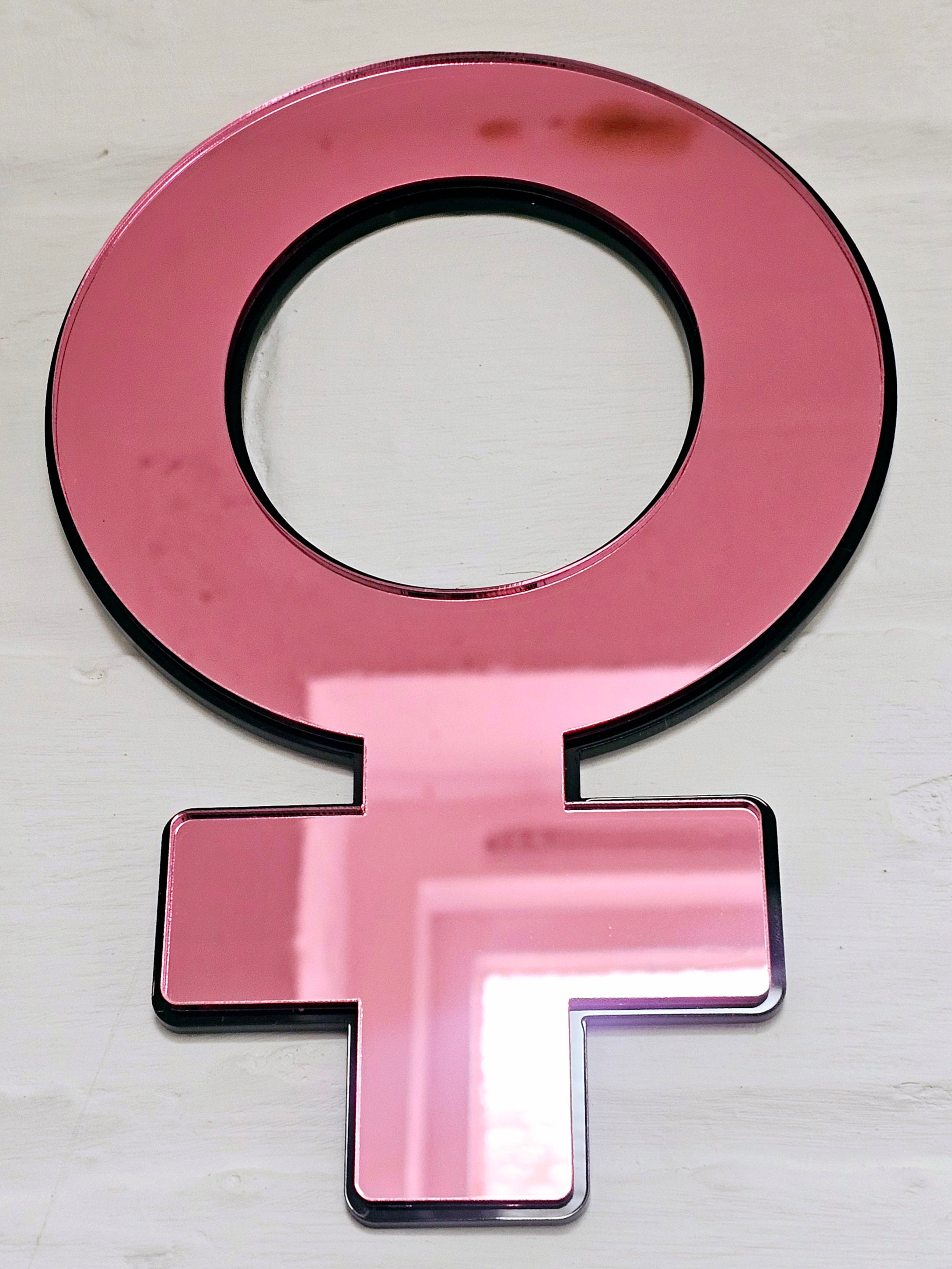 Female Male Transgender Sex Symbol Mirror Man Woman Trans LGBTQ Wall ...