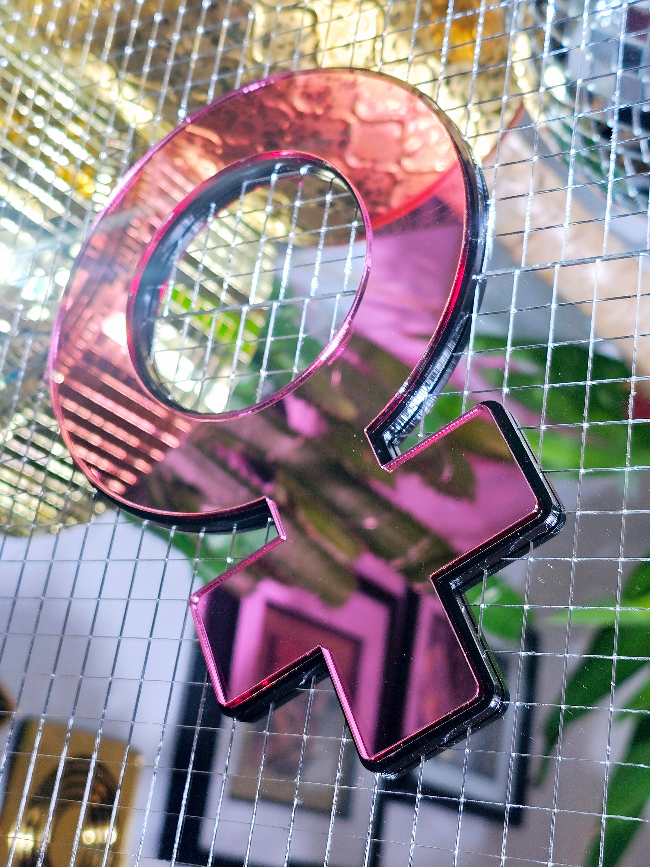 Female Male Transgender Sex Symbol Mirror Man Woman Trans LGBTQ Wall ...