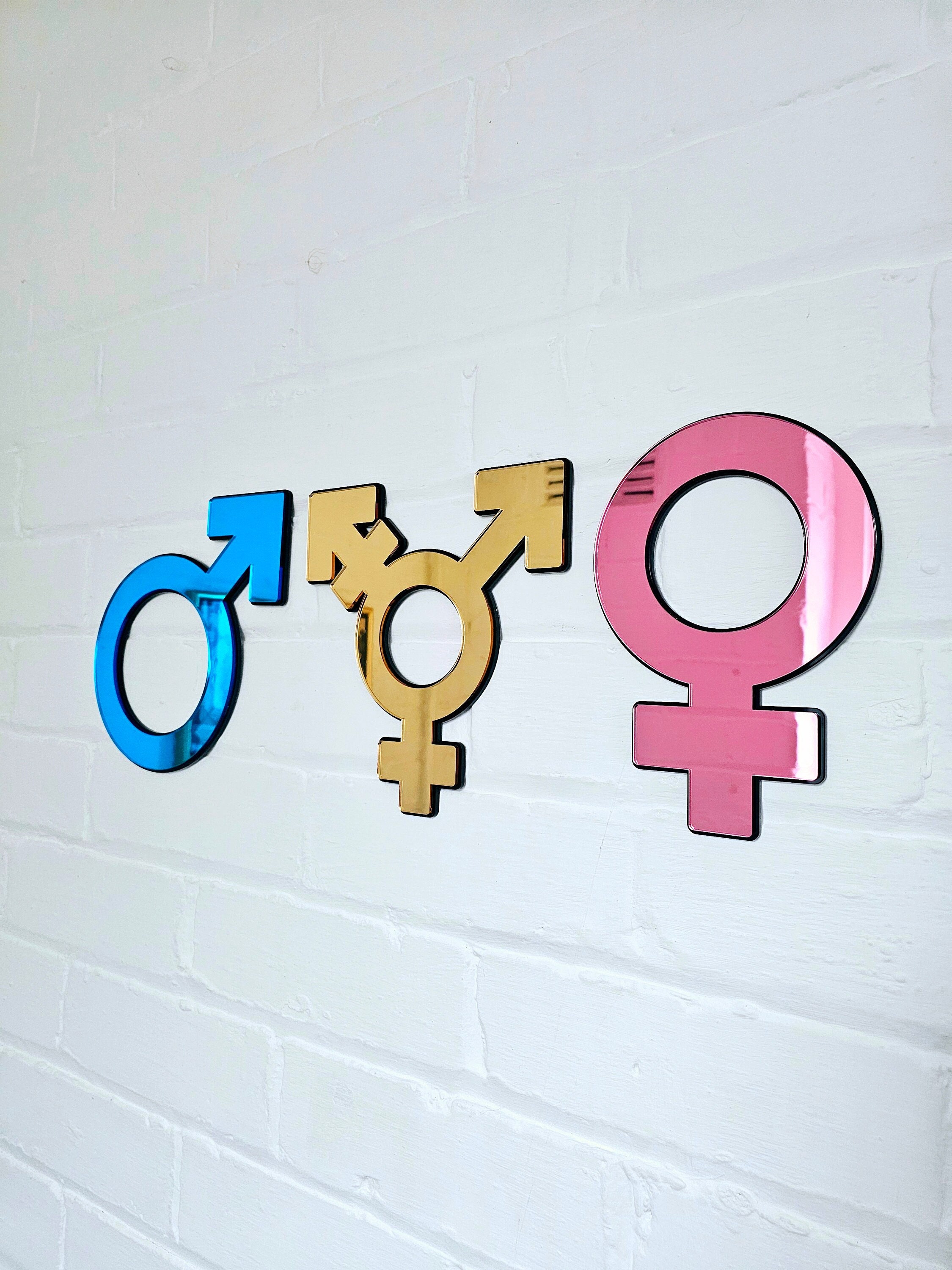 Female Male Transgender Sex Symbol Mirror Man Woman Trans LGBTQ Wall ...