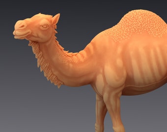 Dnd Tabletop Camel - Etsy