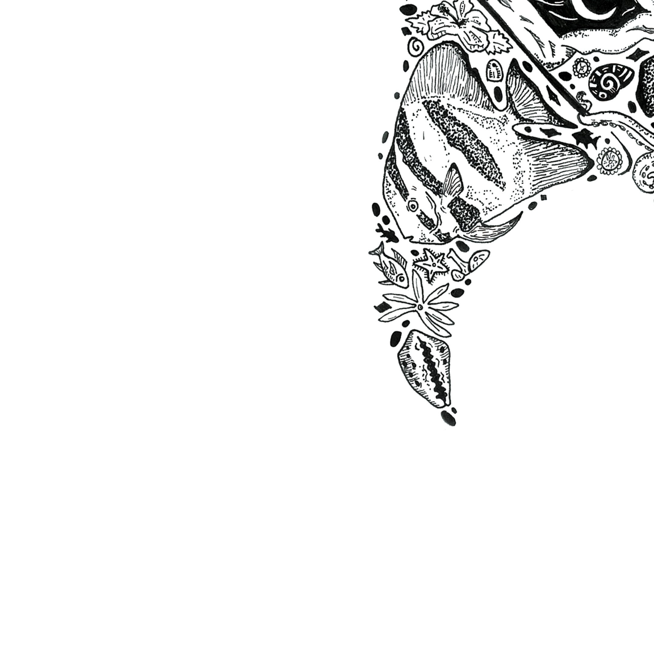 Maldives Whale Shark Print - Hand Drawn, Pen and Ink, A3 Sized ...