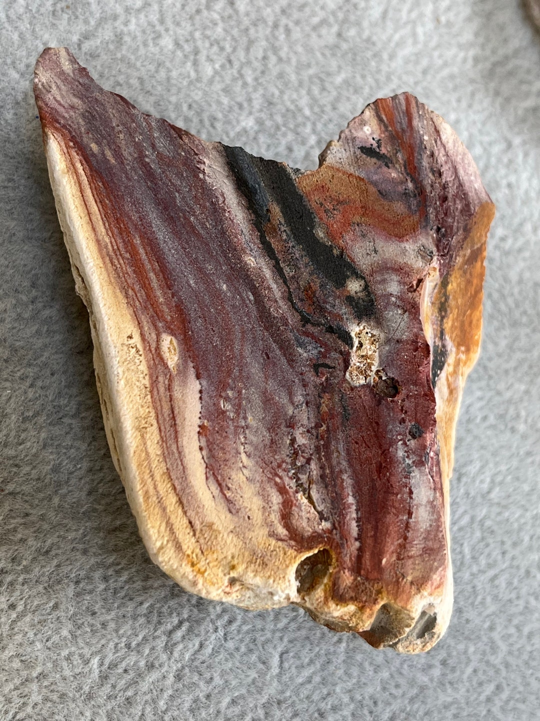 Pink Opalized Petrified Wood, 57.8 Grams Natural Rough Rough Specimen ...