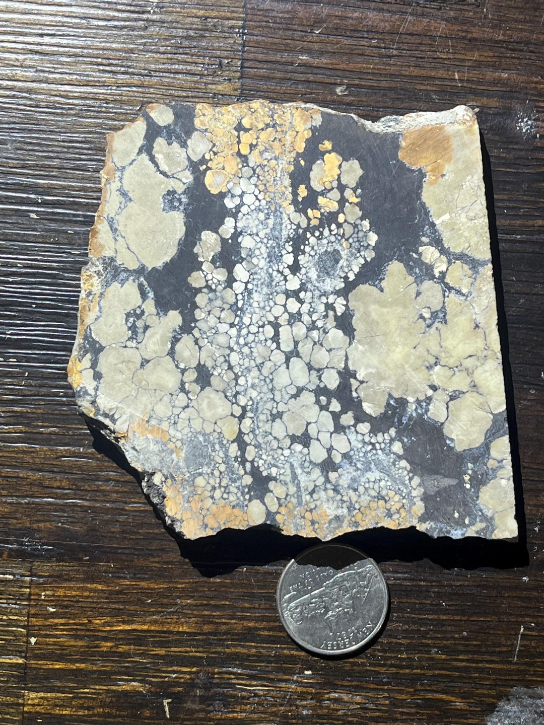 Chalcosiderite Natural Variscite 147 Gram Rough Cut Slab, Display ...