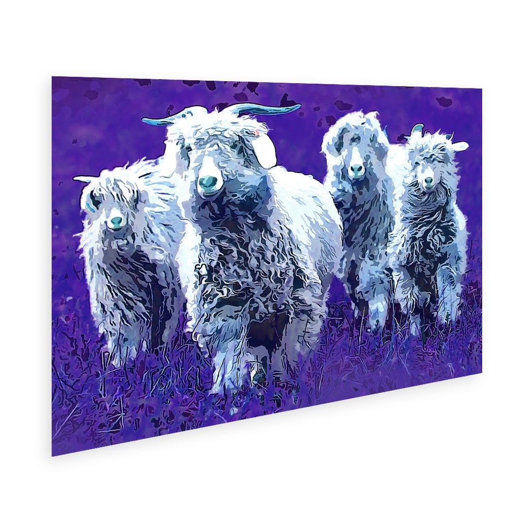 Quirky Sheep Poster - Etsy