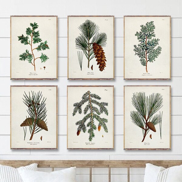 Pine Tree Poster - Etsy