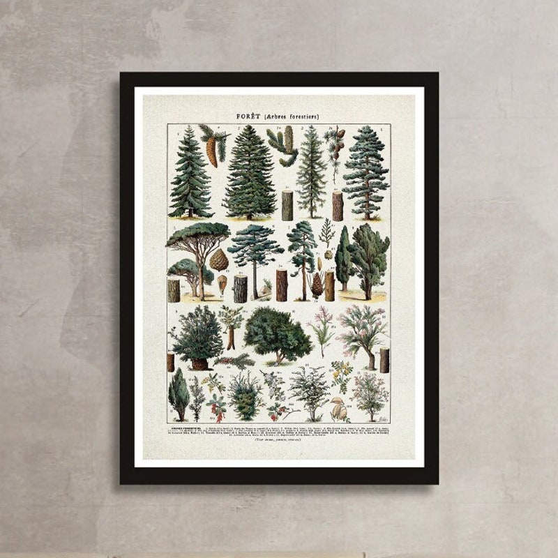Pine Tree Poster - Etsy