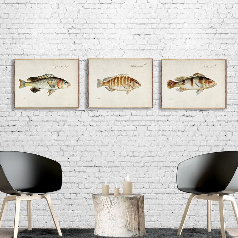 Fish Poster - Etsy