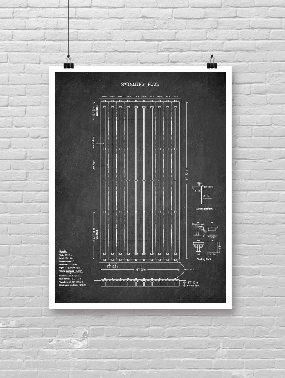 Swimming Pool Poster, World Competition Size Pool, Swimming Pool Field ...