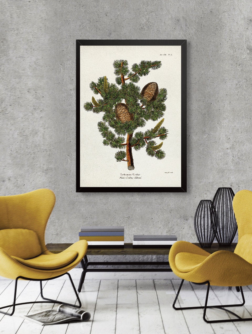 Lebanon CEDAR Thuja Print, Tree Art Poster, Cedar Print, Botanical ...
