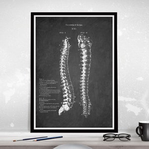 Anatomy Set of 3 Posters, Bones of the Trunk Poster, Spine Drawing Art ...
