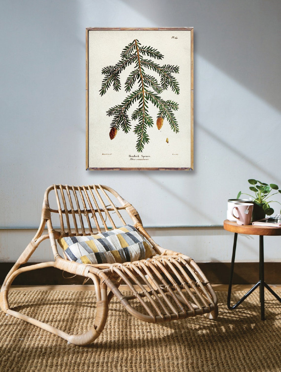 SPRUCE Print, Tree Art Poster, Hemlock Spruce Print, Botanical Spruce ...