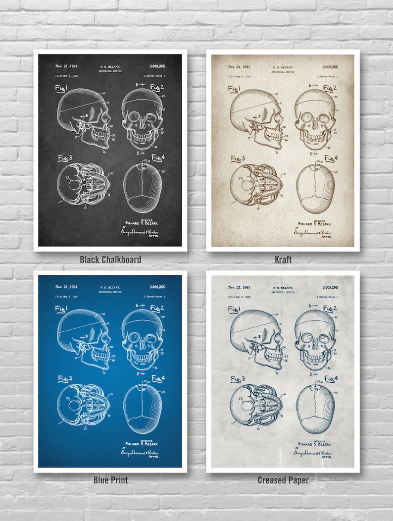 SKULL Detail Chart Poster, Skull Skeleton System Poster, ANATOMY Patent ...
