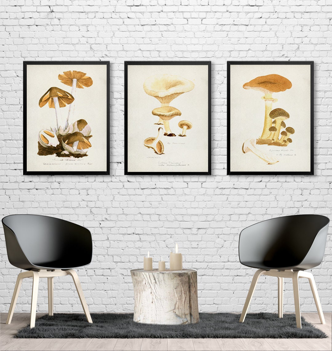 3 Botanical Antique Fungi Poster Set, Vintage Mushroom 3 Print Set ...