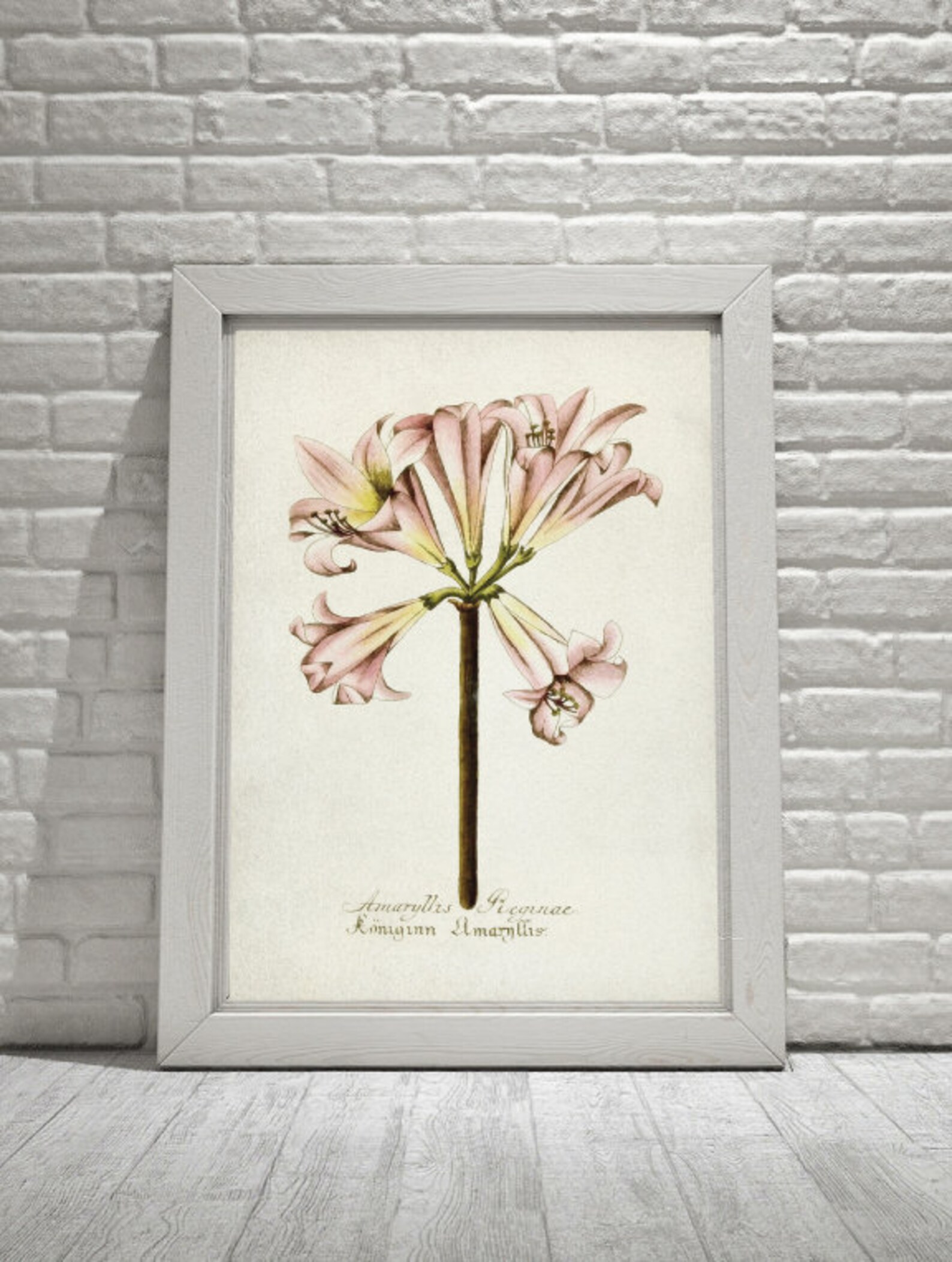 Coral BOTANICAL Poster Vintage Botanical Art Watercolor | Etsy