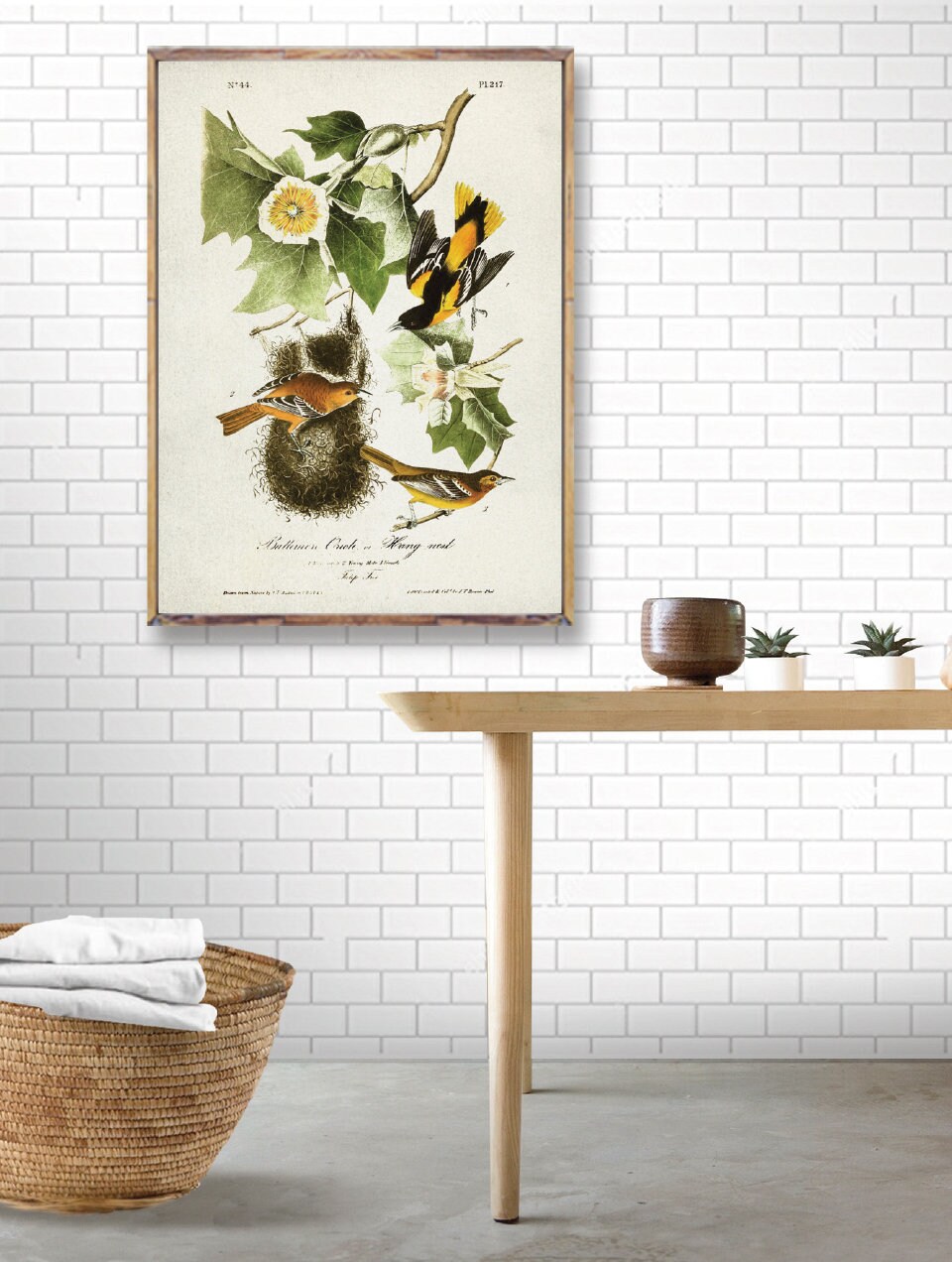 Vintage BIRDS 6 Poster Set, Bird Illustration Prints, Vintage Painting ...