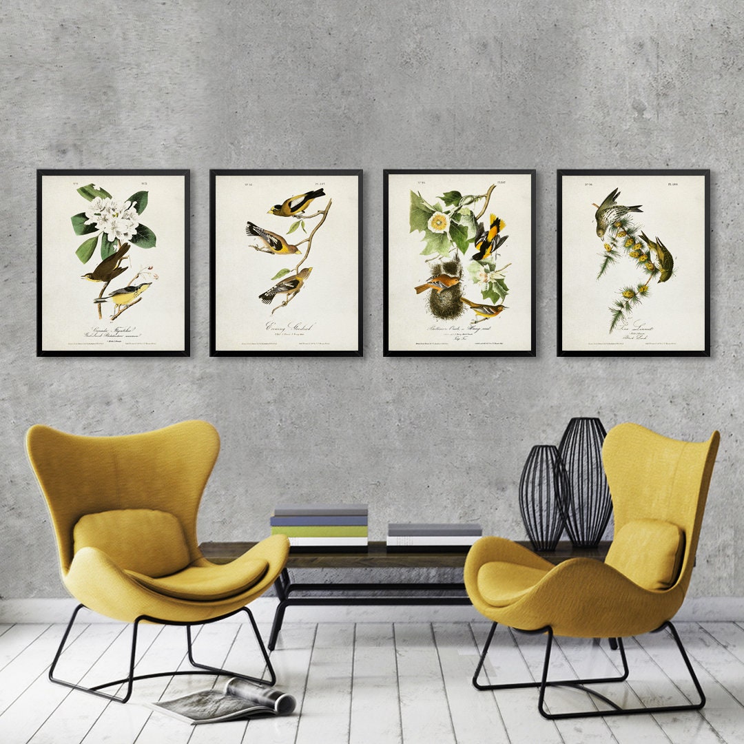 Vintage BIRDS 4 Poster Set, Audubon Birds Painting Prints, Bird Art ...