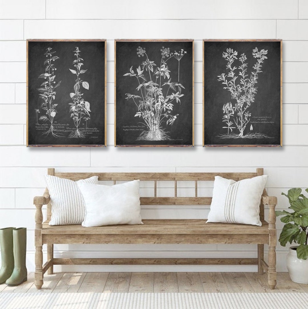 Vintage Botanical 3 Print Set, Minimalist Botanical Art Prints, Flower ...