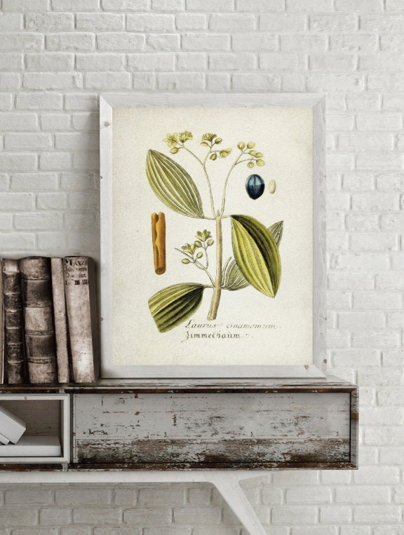 Cinnamon Botanical Print, Vintage Botanical Blue Art, Watercolor ...