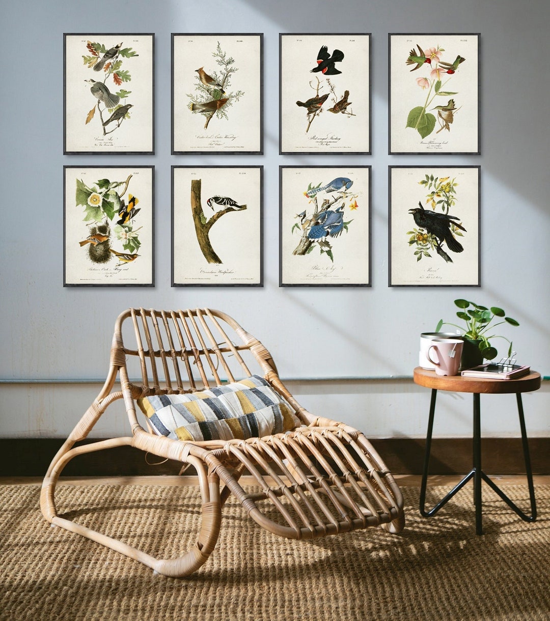 Vintage BIRDS 8 Poster Set, Bird Illustration Prints, Vintage Painting ...