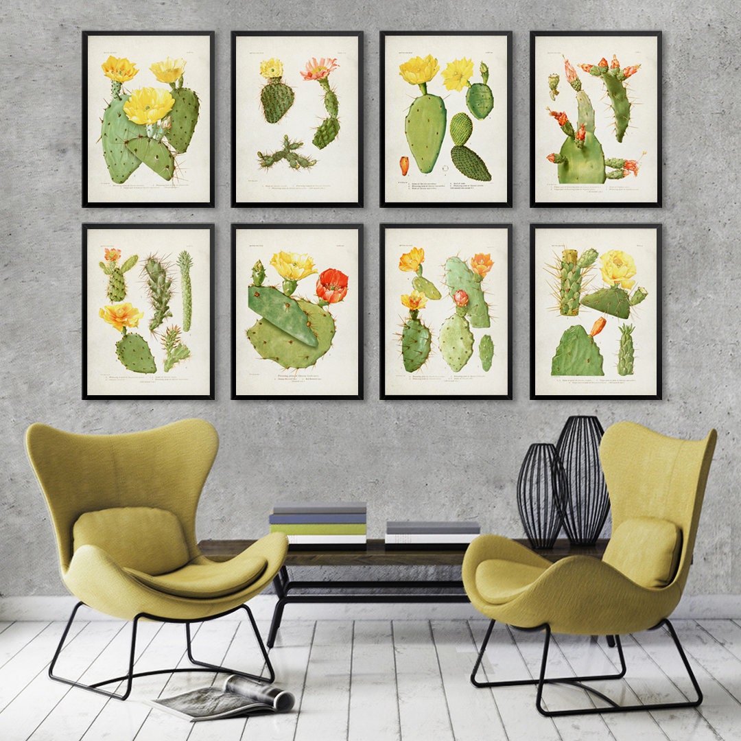 8 Poster Set Vintage CACTUS Prints, Vintage Cactus Art, Tropical Cactus ...