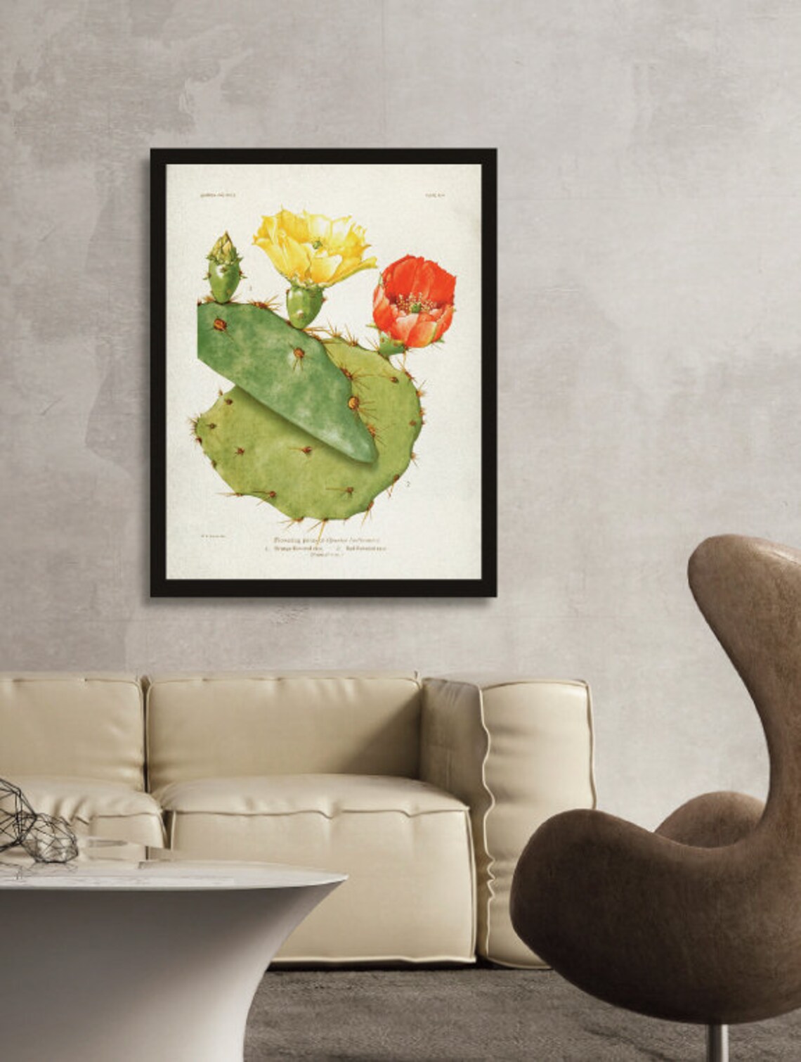 Vintage CACTUS Art Poster, Cactus Poster, Vintage Cactus Art, Tropical ...
