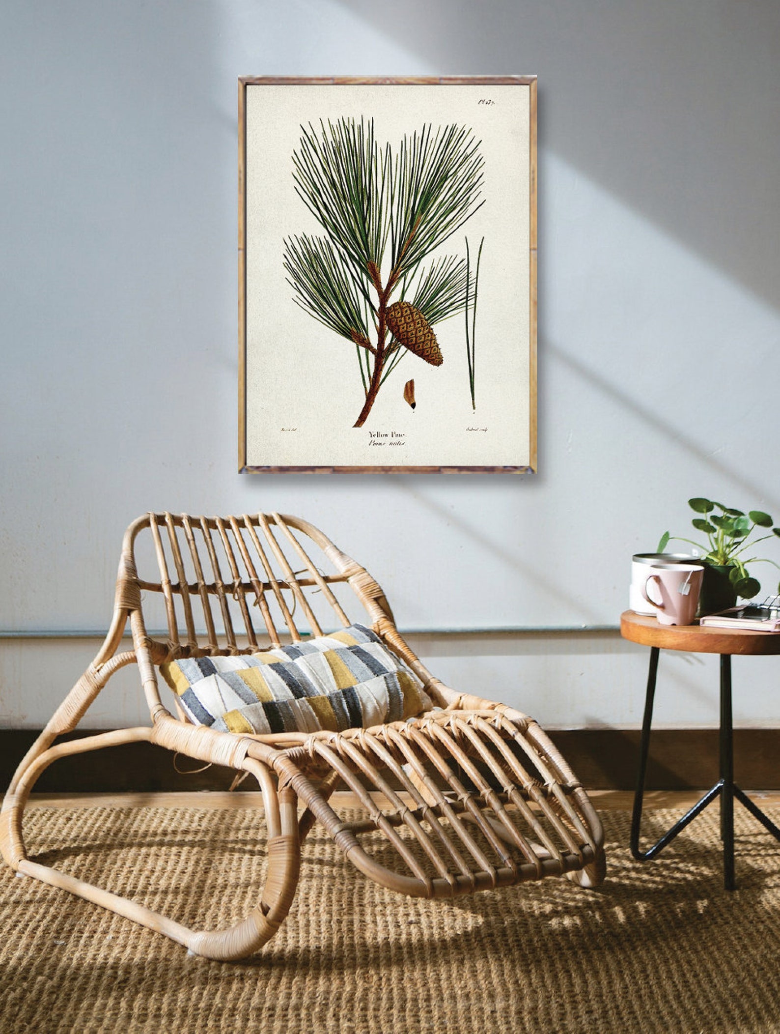 TREES 6 Poster Set, Vintage Tree Art Posters, Vintage Coniferous Trees ...