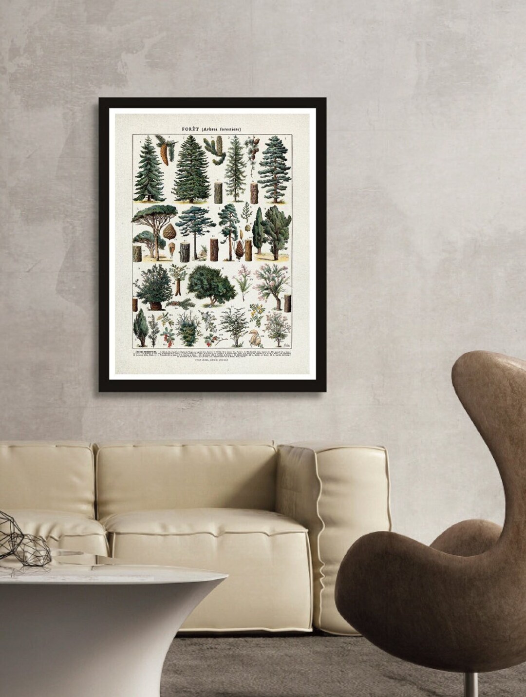 Vintage PINE Tree Group Print, Encyclopedia Tree Poster, Tree Art ...