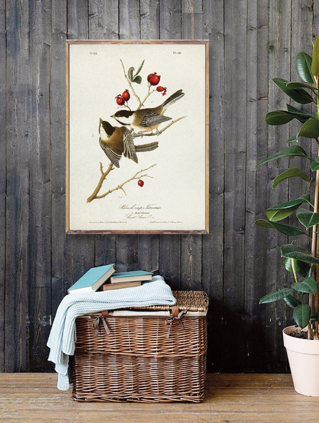 Black Cap Titmouse Bird Print, Vintage Chickadee Bird Poster, Vintage ...