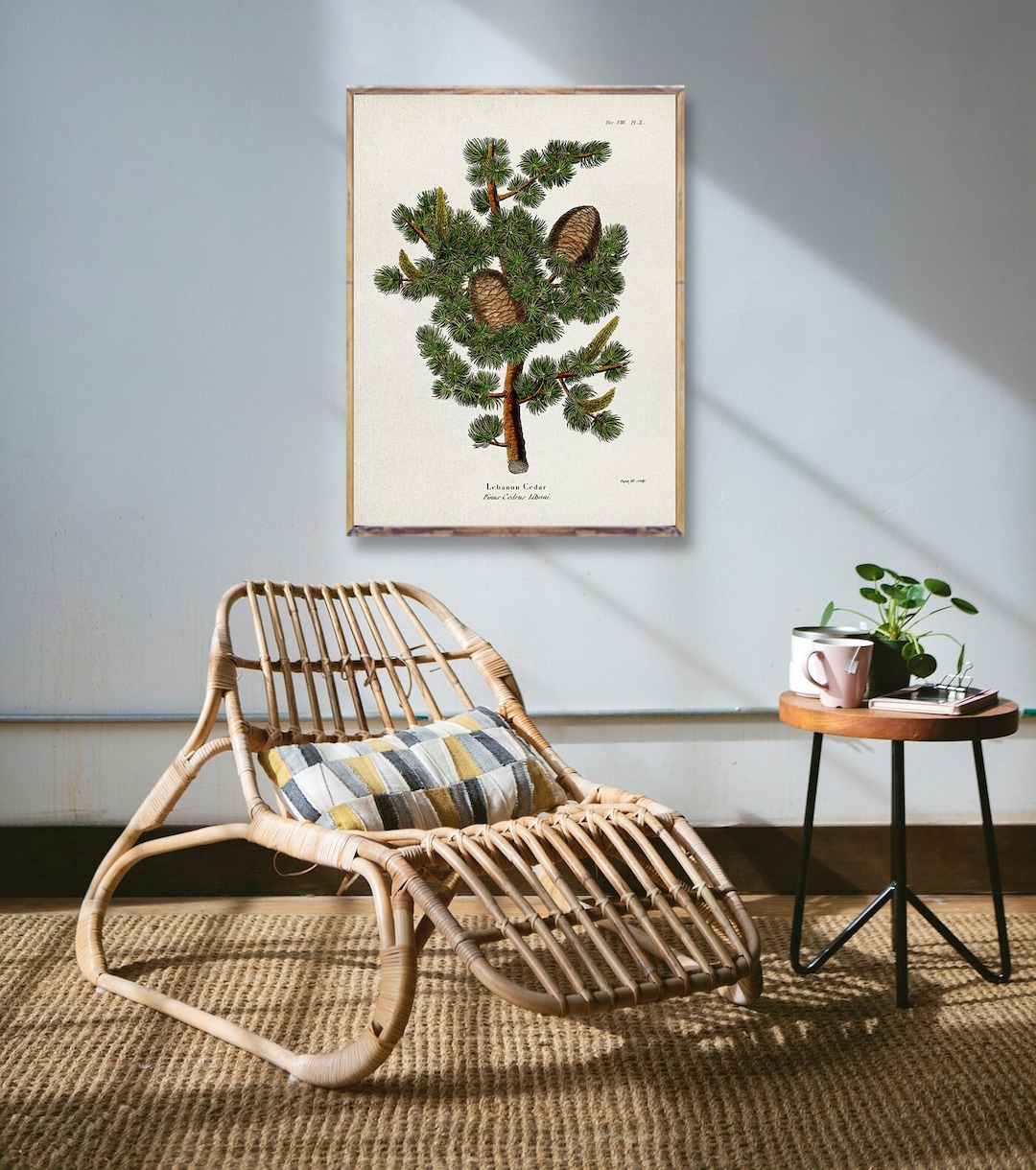 Lebanon CEDAR Thuja Print, Tree Art Poster, Cedar Print, Botanical ...