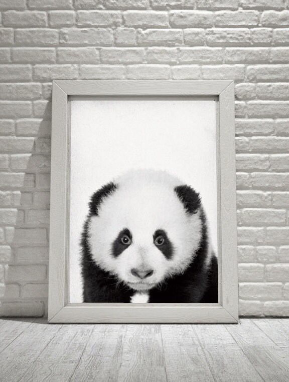 Baby PANDA Print, Baby Panda Poster Nursery Decor, Jungle Theme Print ...