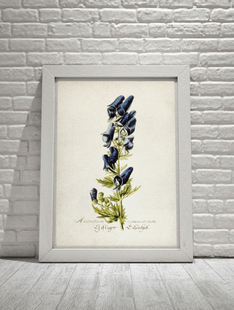 Blue Botanical Print, Vintage Botanical Blue Art, Watercolor Botanical ...
