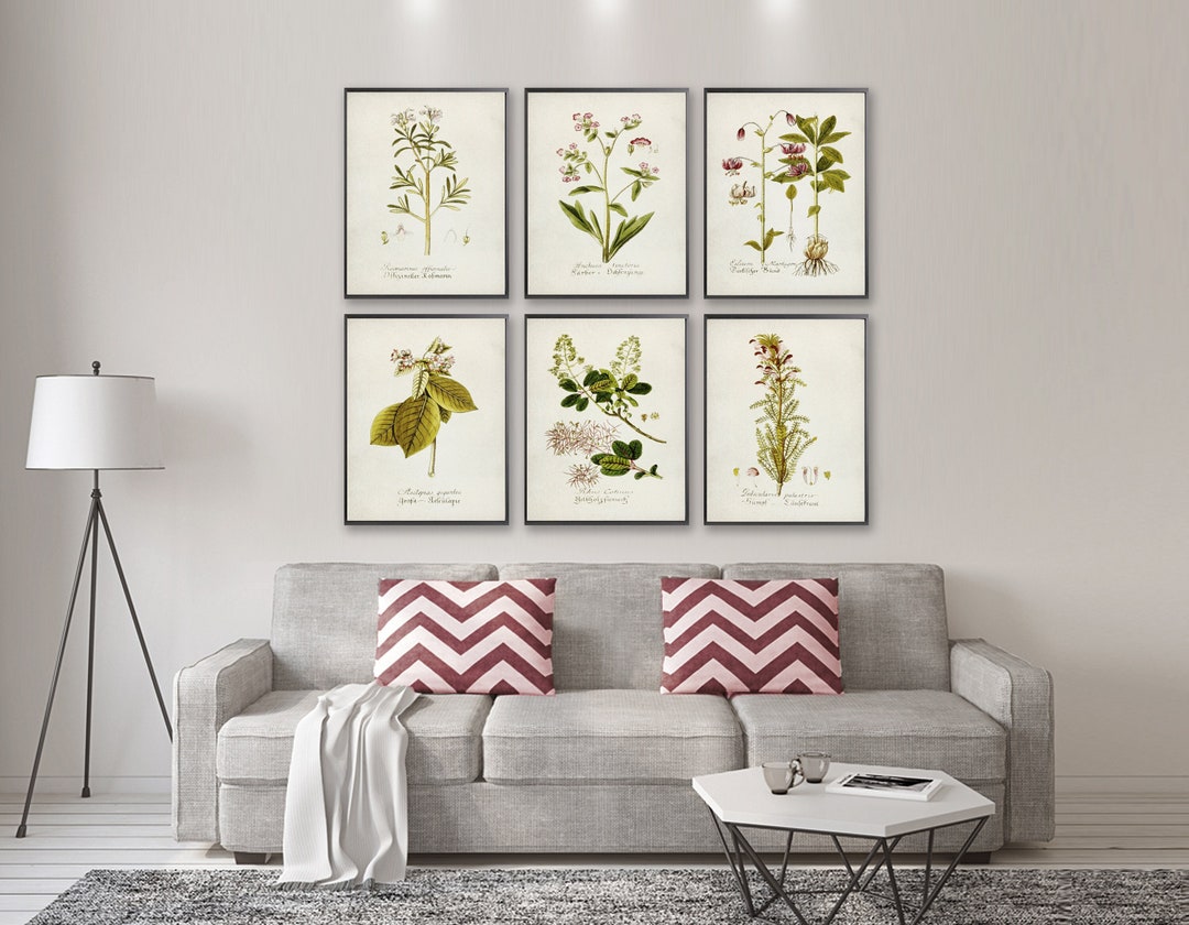 Coral BOTANICAL 6 Poster Set, Vintage Botanical 6 Print Set, Botanical ...