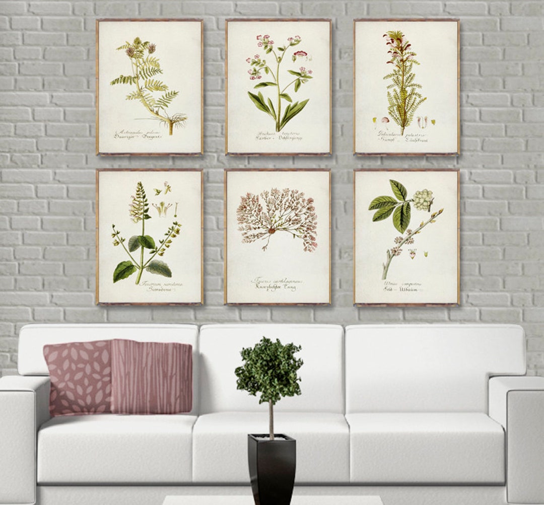 Vintage Coral BOTANICAL 6 Poster Set, Botanical 6 Print Set, Botanical ...