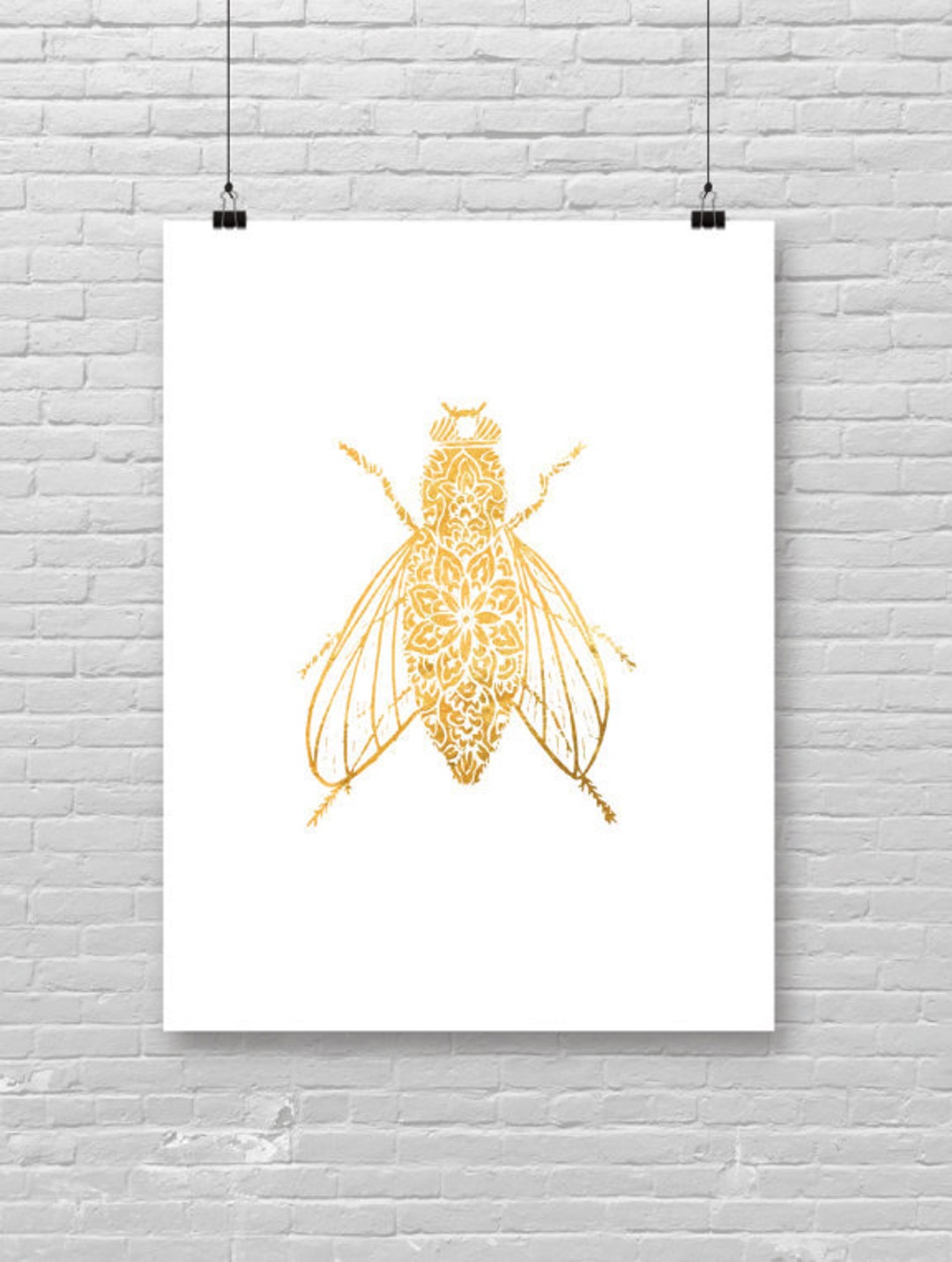 INSECT FLY Art Print, Insect Poster, Entomology Art, FOIL Stamp Effect ...