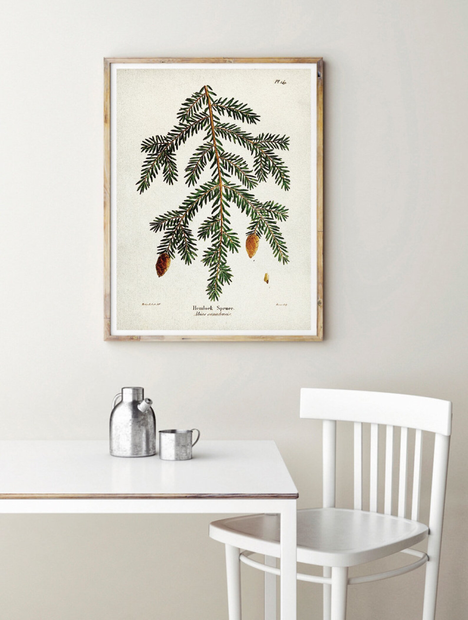 SPRUCE Print, Tree Art Poster, Hemlock Spruce Print, Botanical Spruce ...