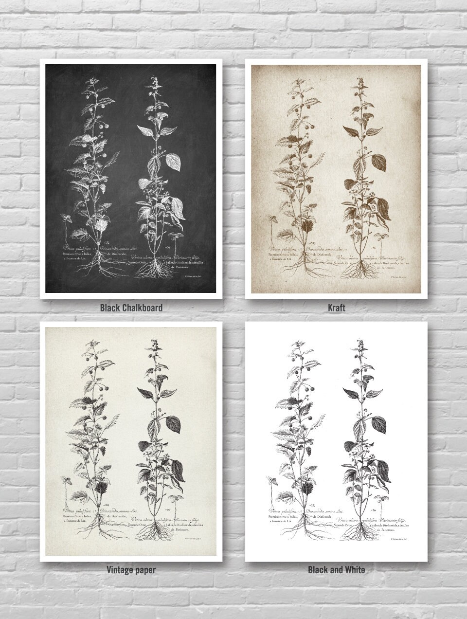 Vintage Botanical 4 Print Set Minimalist Botanical Art - Etsy