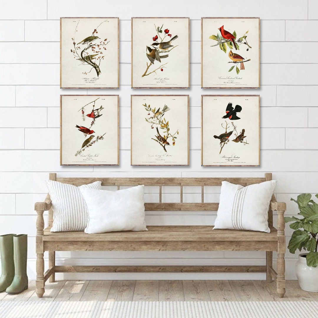 BIRDS 6 Poster Set, Bird Illustration Prints, Vintage Painting ...