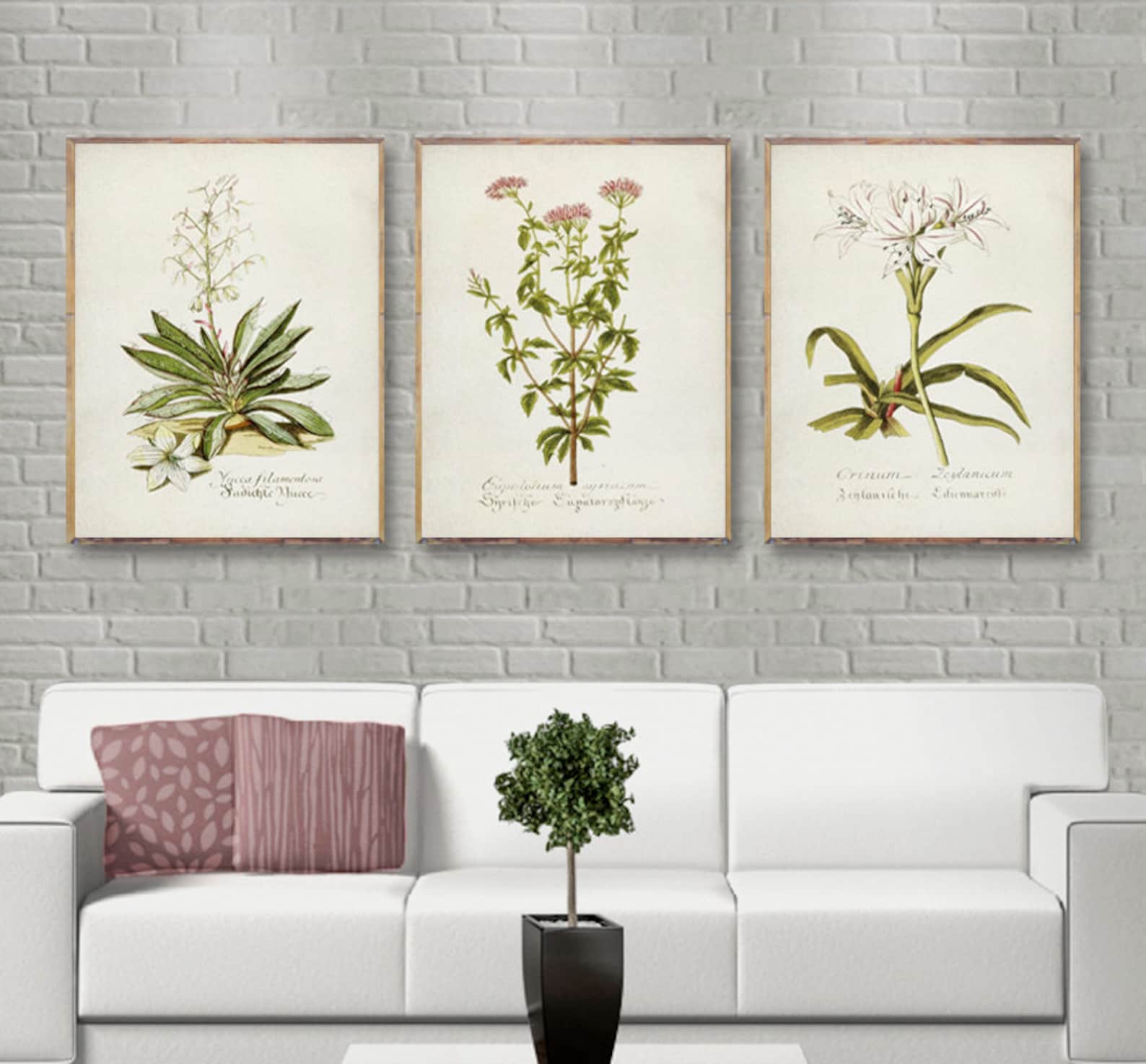 Vintage Botanical 3 Prints Set, Coral Vintage Botanical Prints, Vintage ...