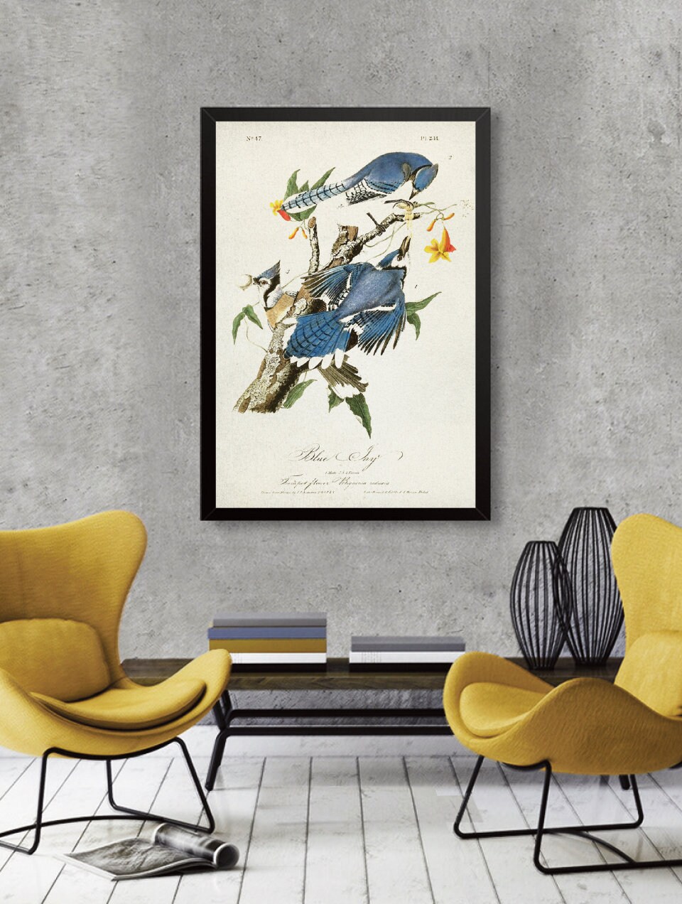 Vintage BIRDS 6 Poster Set Bird Illustration Prints Vintage | Etsy