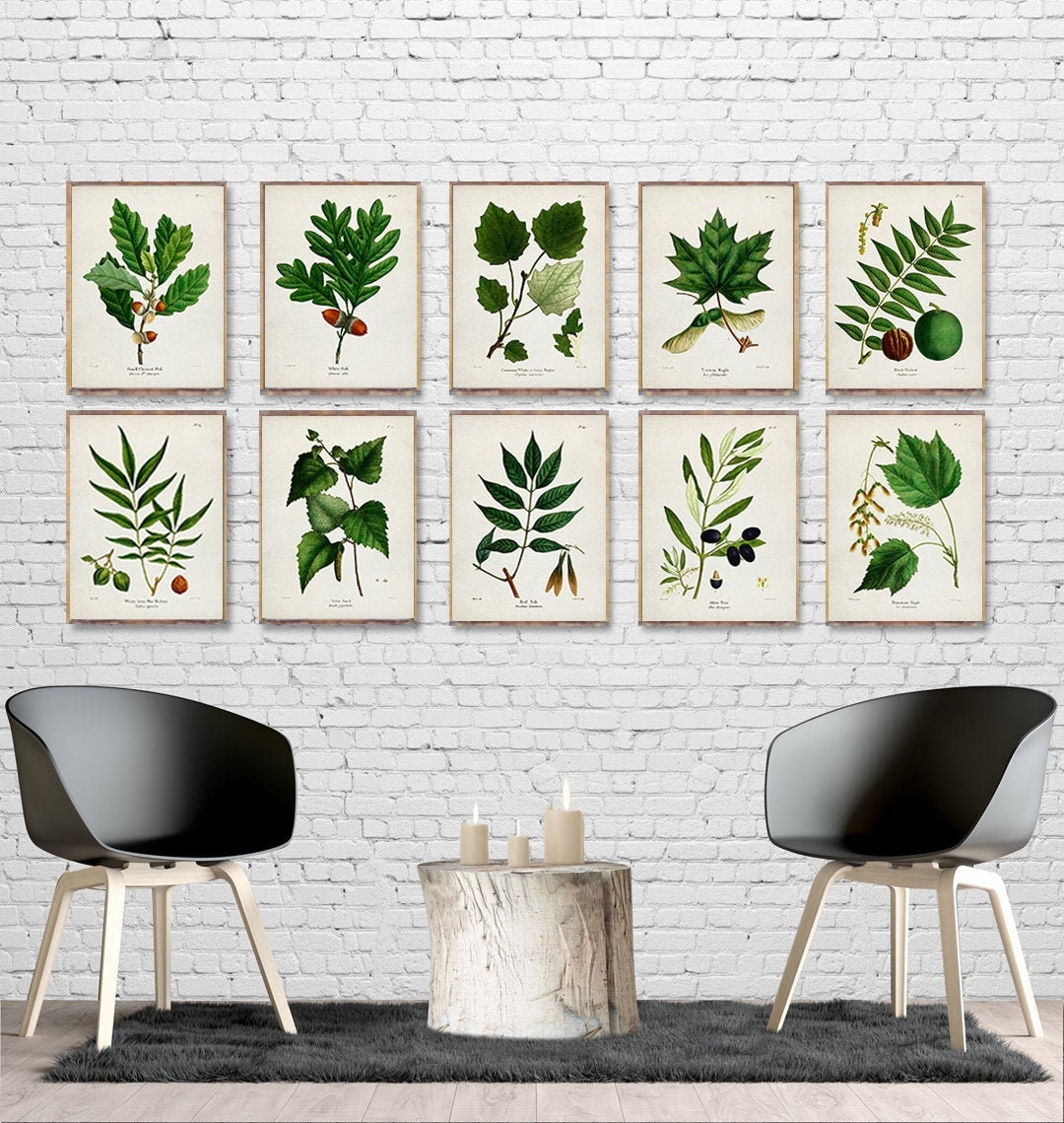 Vintage TREES 10 Poster Set, Vintage Hardwood Trees Prints, Botanical ...
