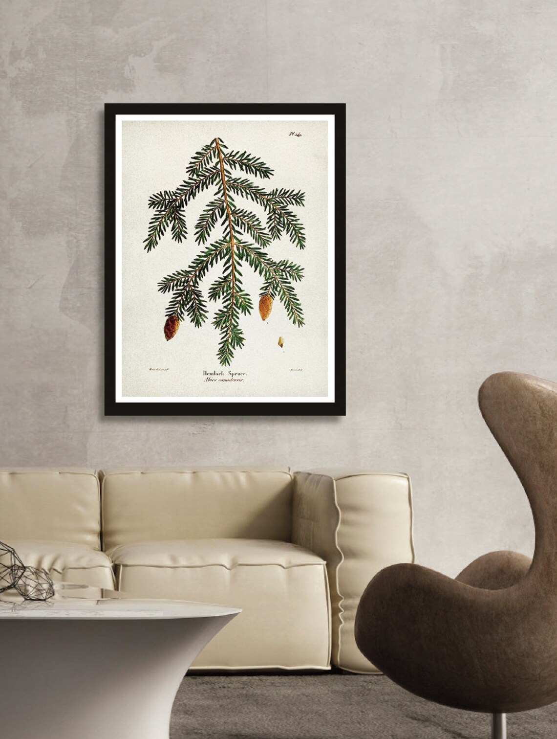 SPRUCE Print, Tree Art Poster, Hemlock Spruce Print, Botanical Spruce ...
