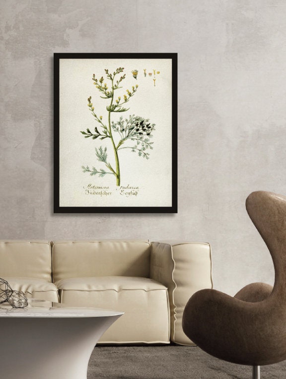 Vintage BOTANICAL 4 Print Set Minimalist Botanical Posters - Etsy