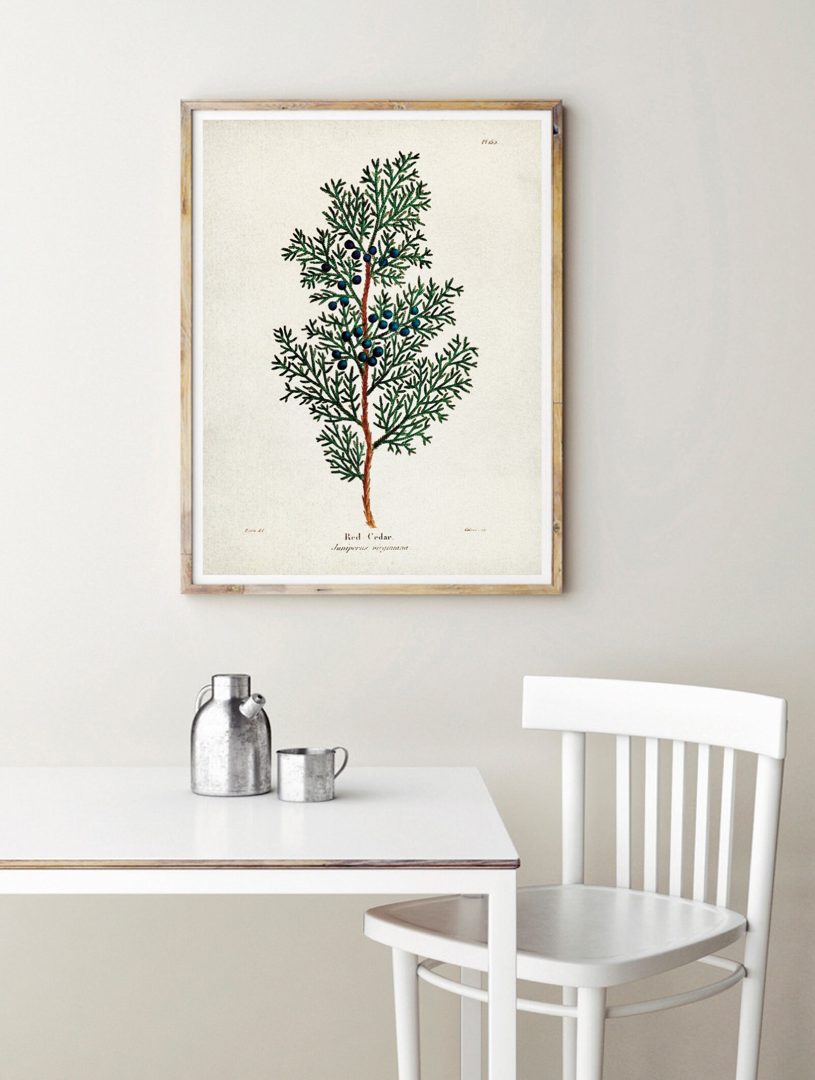 Red CEDAR Thuja Print Tree Art Poster Cedar Print Botanical | Etsy