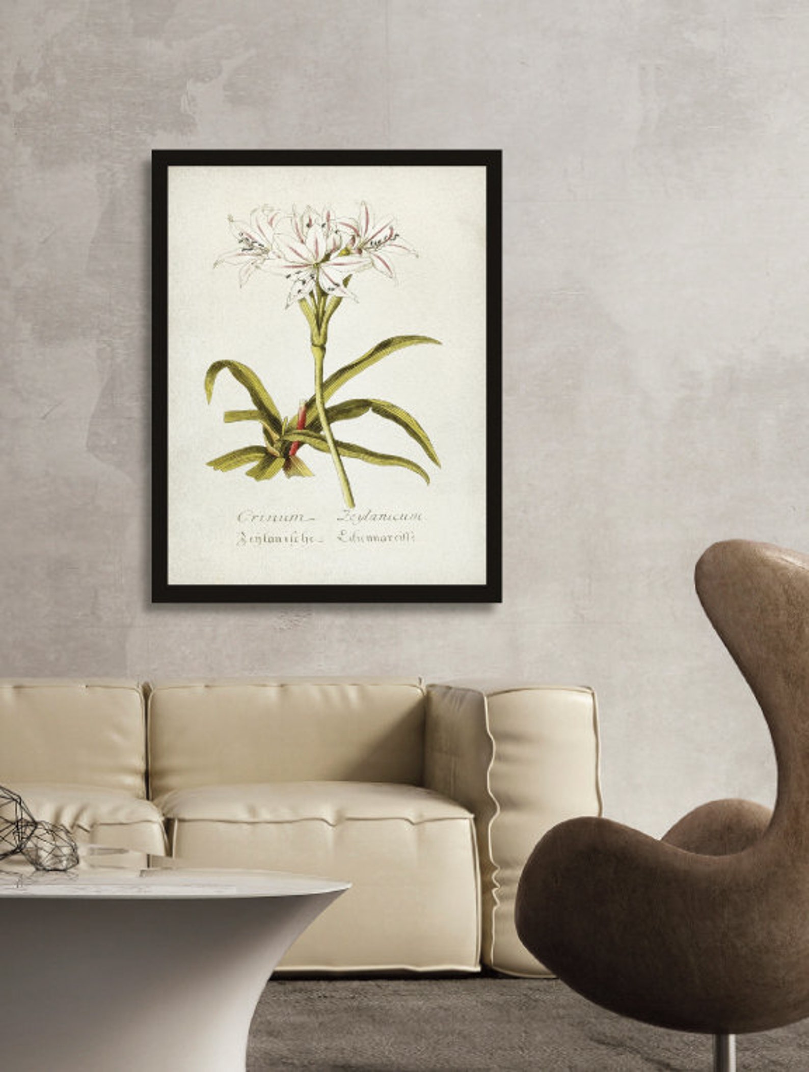 Vintage Botanical 3 Prints Set, Coral Vintage Botanical Prints, Vintage ...